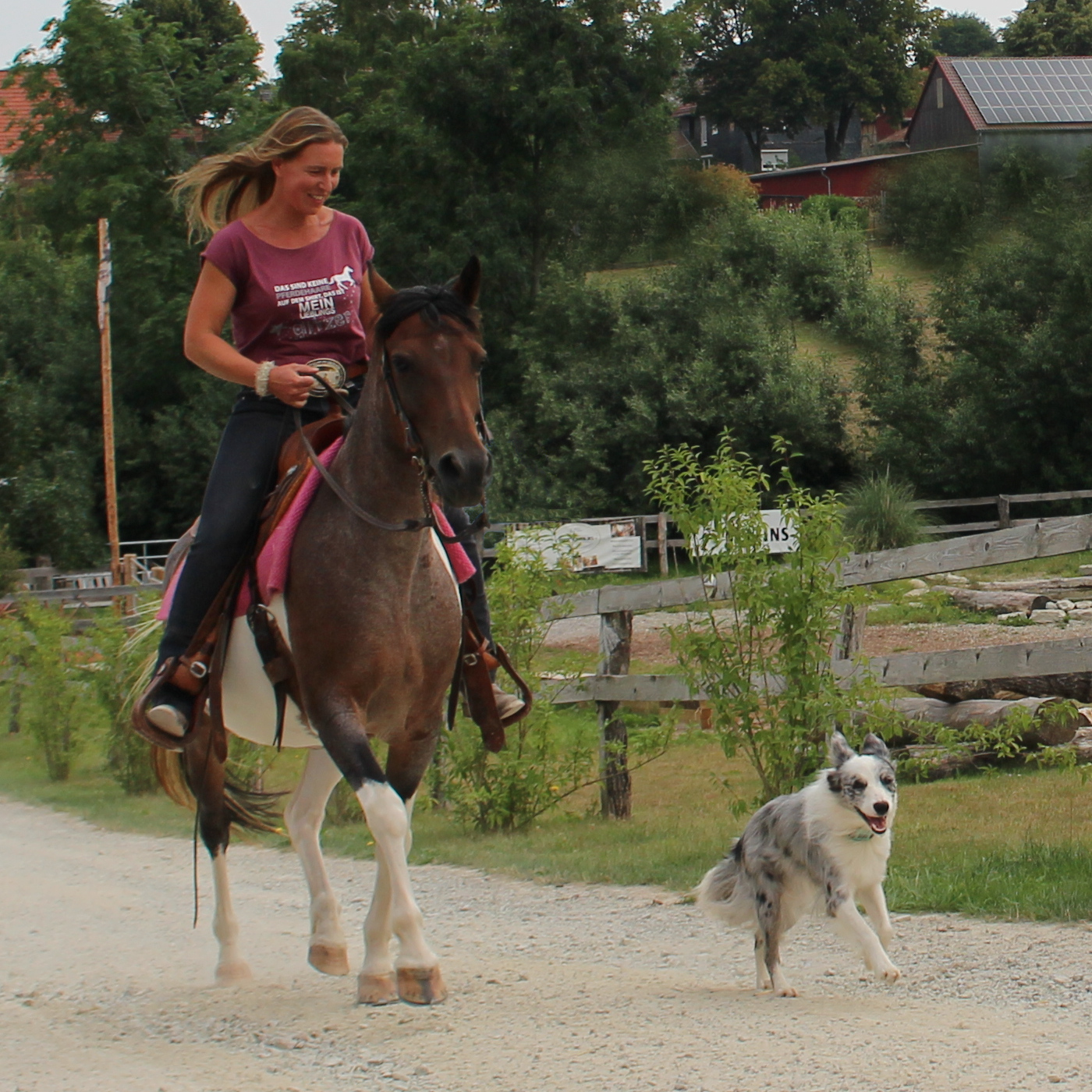 Dream Ranch - Die Adresse für Freizeit- & Westernreiter - Startseite
